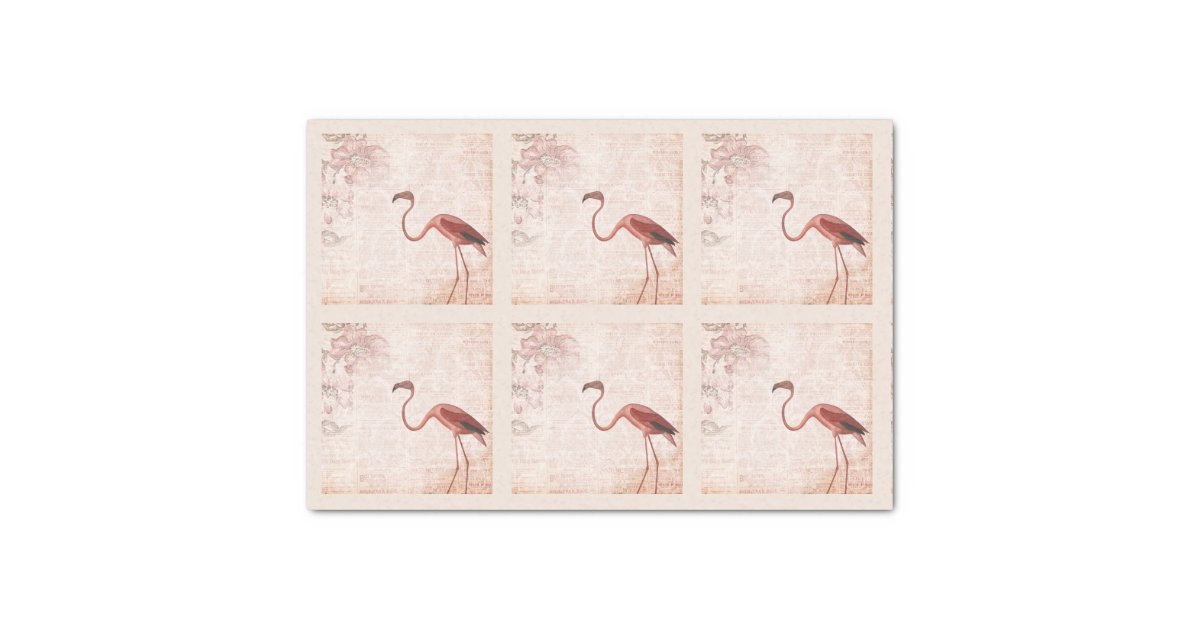 Vintage Pink Flamingo Tissue Paper | Zazzle