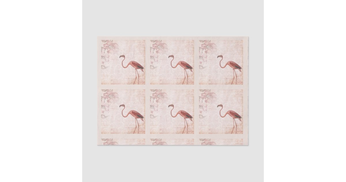Vintage Pink Flamingo Tissue Paper | Zazzle