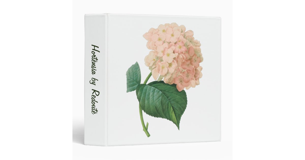 Vintage Pink Hydrangea Hortensia Flower by Redoute Binder | Zazzle