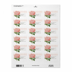 Vintage Pink Hydrangea Label | Zazzle