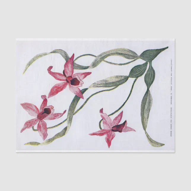Vintage Pink Orchid Floral Illustration Tissue Paper | Zazzle