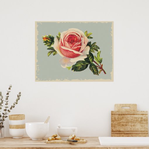 Vintage Pink Rose Poster | Zazzle