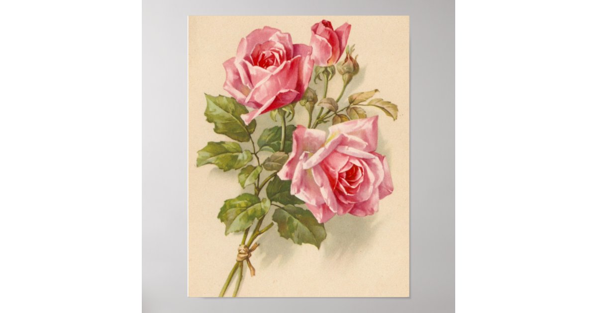 Vintage Pink Roses Poster | Zazzle