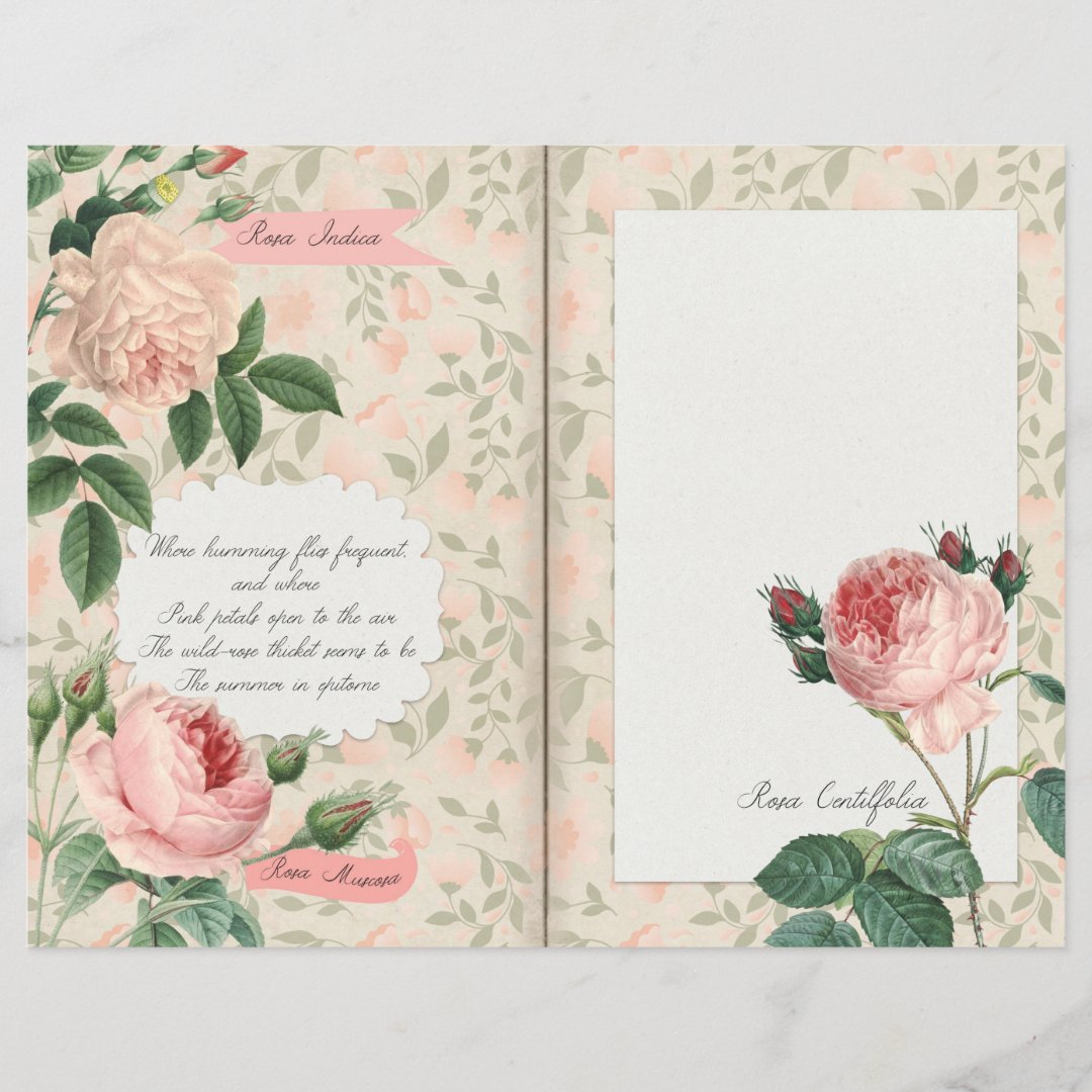Vintage Pink Roses Scrapbook Paper | Zazzle