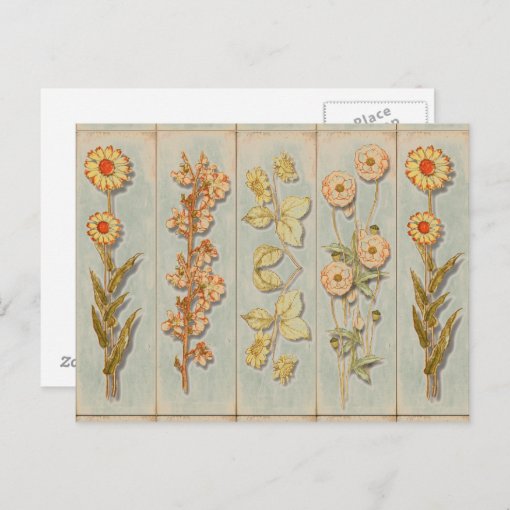 Vintage Plant Illustrations Postcard | Zazzle