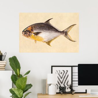 Vintage Pompano Fish - Game Fishes Template Blank Poster | Zazzle