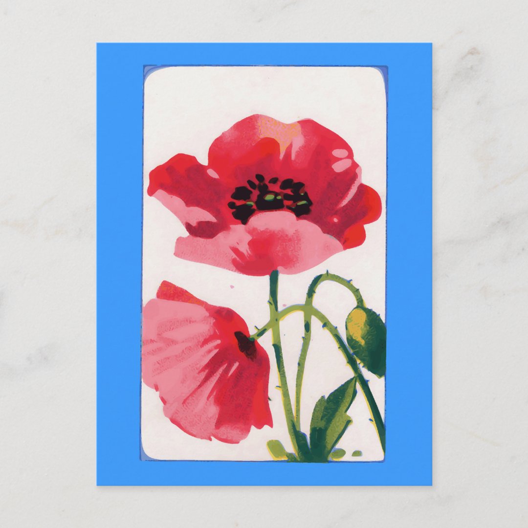 Vintage Poppy Print Postcard | Zazzle