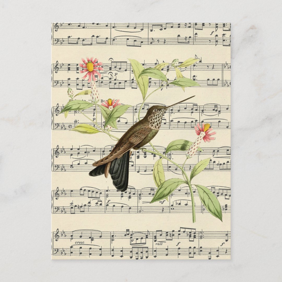 vintage postcard botanical hummingbird music | Zazzle