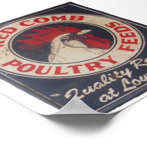Vintage Poultry Feeds Sign | Zazzle