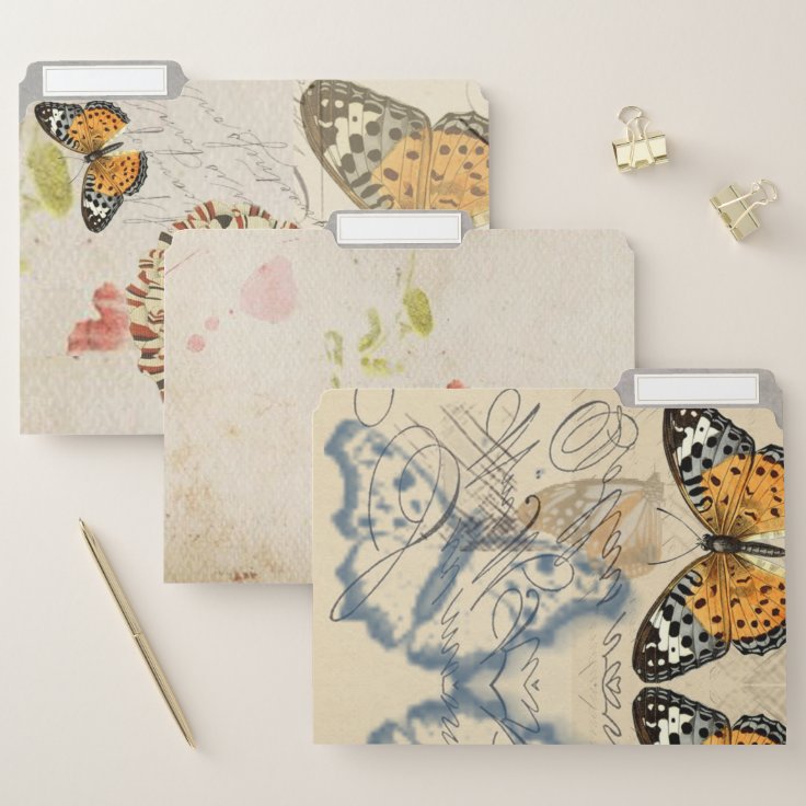 Vintage Pressed Flower & Butterfly Collage File Folder | Zazzle