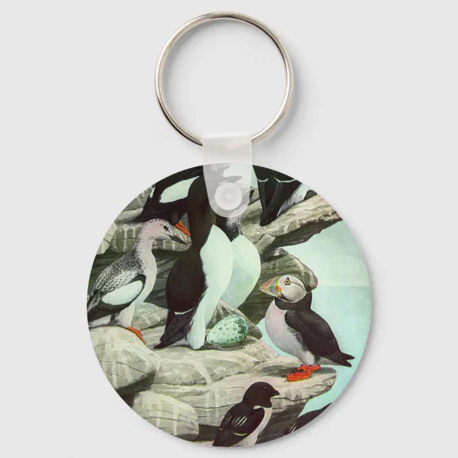 Vintage Puffins and Aquatic Birds by Louis Fuertes Keychain | Zazzle