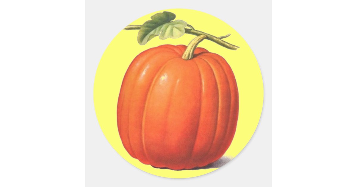 Vintage Pumpkin Classic Round Sticker | Zazzle