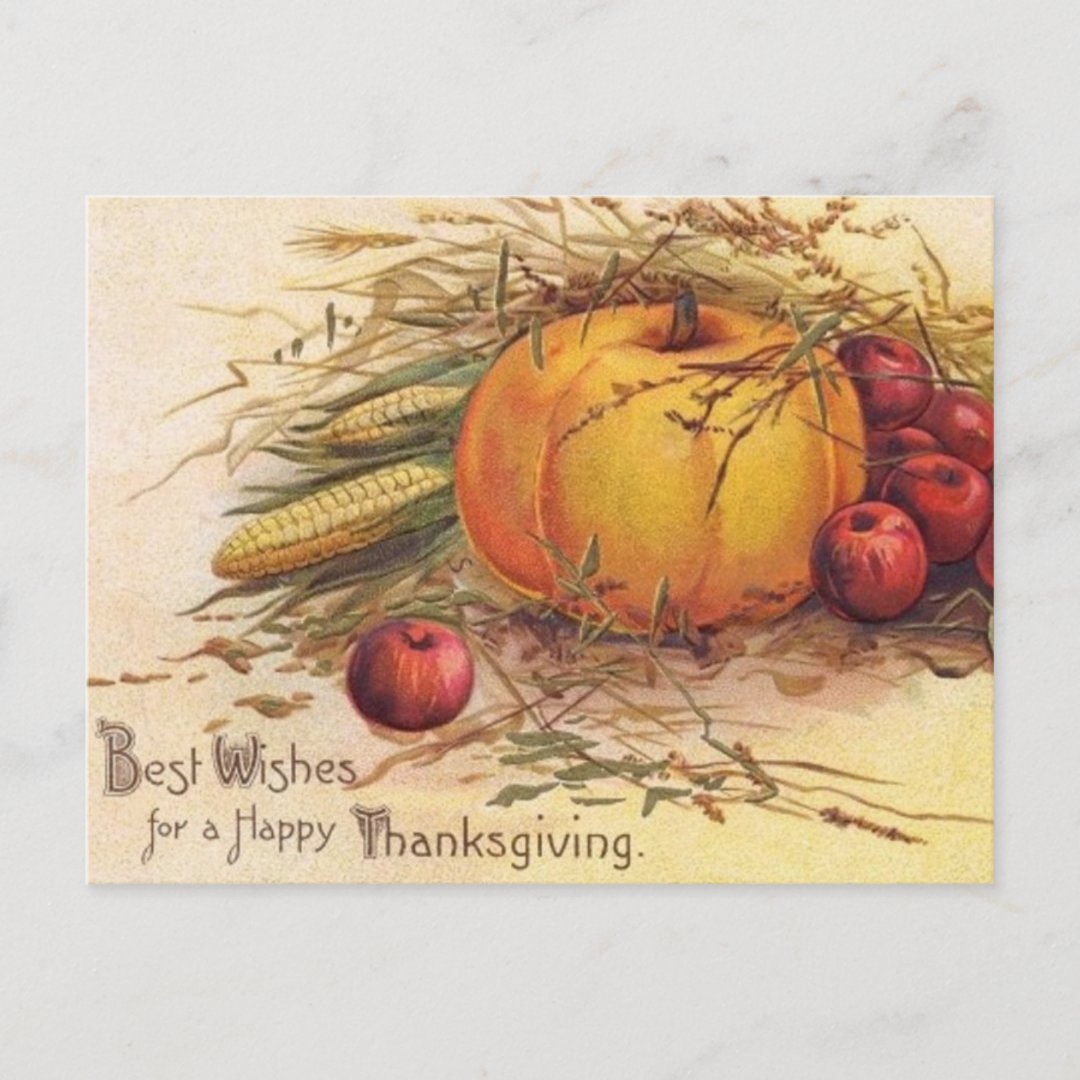 Vintage Pumpkin Thanksgiving Greeting Postcard | Zazzle
