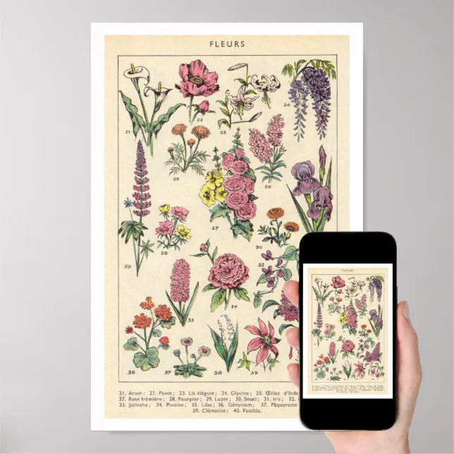 Vintage Purple Flowers Poster | Zazzle
