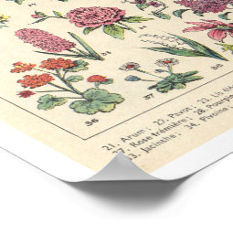 Vintage Purple Flowers Poster | Zazzle