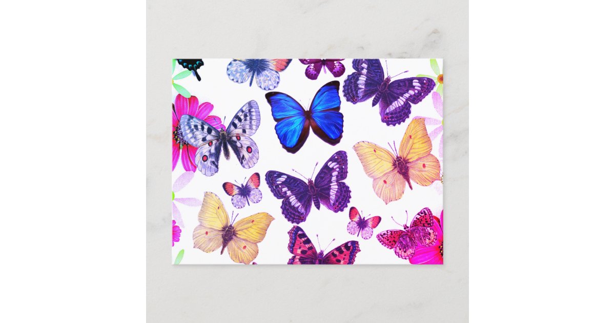 Vintage Purple Pink Yellow Colorful Butterflies Postcard | Zazzle