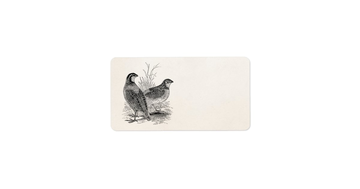Vintage Quail Birds - Personalized Retro Game Bird Label | Zazzle