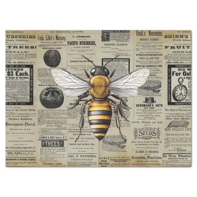 Vintage Queen Bee Horticulture Ads Ephemera Tissue Paper | Zazzle