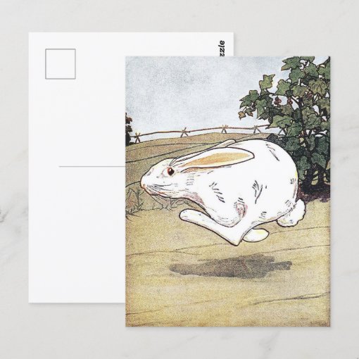 Vintage Rabbit Children's Book Illustration Postcard | Zazzle