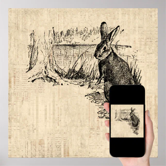 Vintage Rabbit Illustrated Bunny Art Poster | Zazzle
