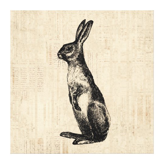 Vintage Rabbit Illustration Old Fashioned Bunny Canvas Print | Zazzle.com