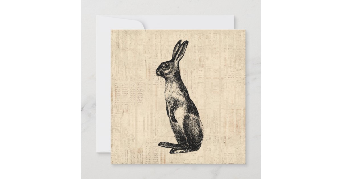 Vintage Rabbit Illustration Old Fashioned Bunny Card | Zazzle