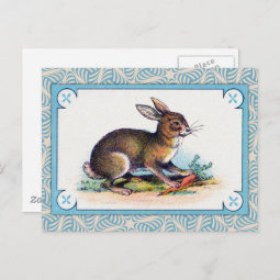 Vintage Rabbit Print Postcard | Zazzle