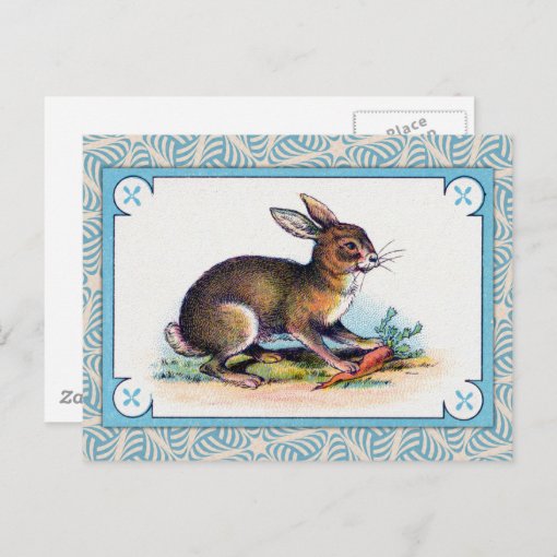 Vintage Rabbit Print Postcard | Zazzle