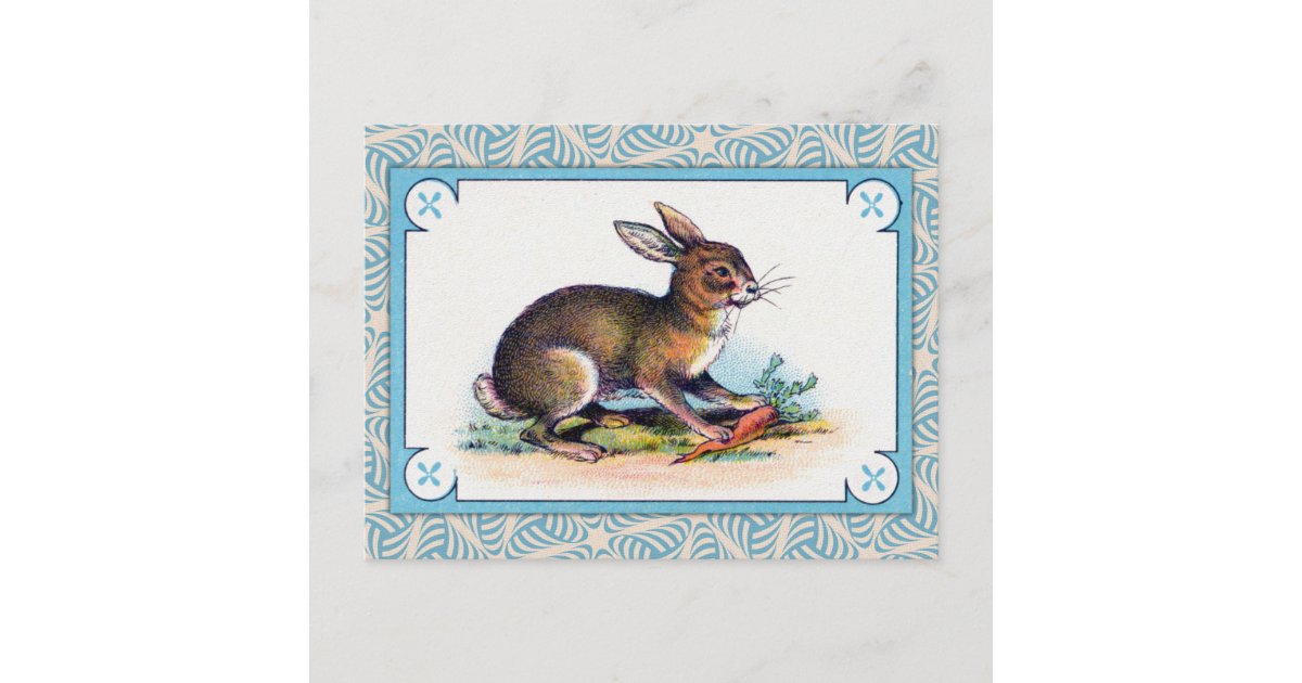 Vintage Rabbit Print Postcard | Zazzle