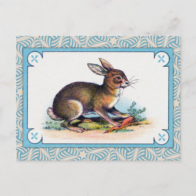Vintage Rabbit Print Postcard | Zazzle