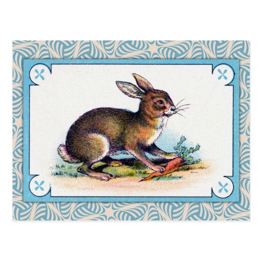 Vintage Rabbit Print Postcard | Zazzle