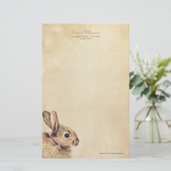 Vintage Rabbit Sketch Personalized Stationery | Zazzle