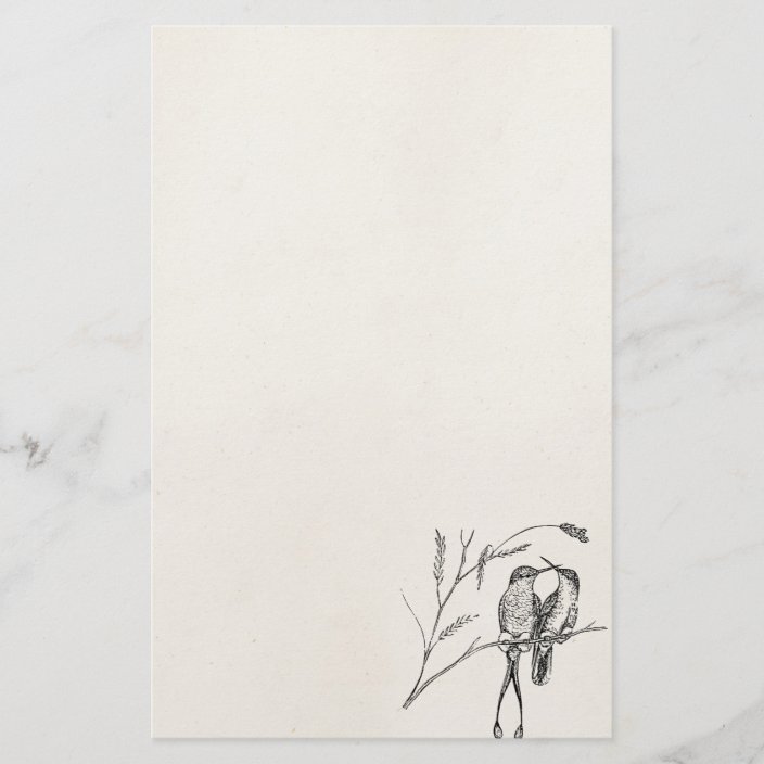 Vintage Racquet Tail Hummingbird Personalized Bird Stationery | Zazzle.com