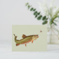 Vintage Rainbow Trout Fly Fishing Postcard | Zazzle
