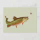 Vintage Rainbow Trout Fly Fishing Postcard | Zazzle