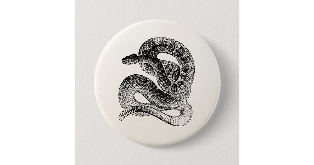Vintage Rattlesnake Reptile Snake Template Button | Zazzle