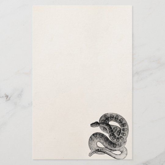 Vintage Rattlesnake Reptile Snake Template Stationery | Zazzle.com