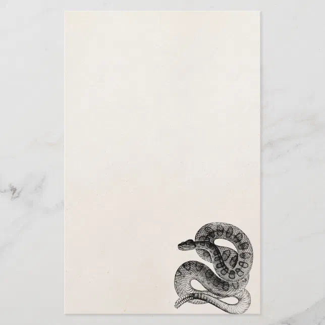 Vintage Rattlesnake Reptile Snake Template Stationery | Zazzle