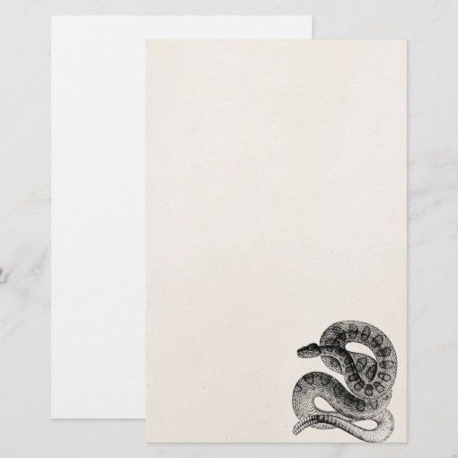 Vintage Rattlesnake Reptile Snake Template Stationery | Zazzle