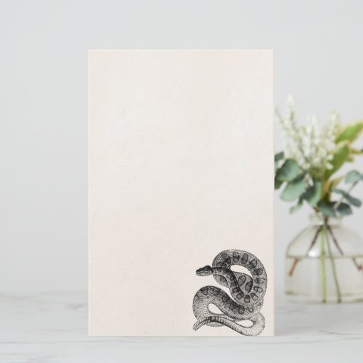Vintage Rattlesnake Reptile Snake Template Stationery | Zazzle