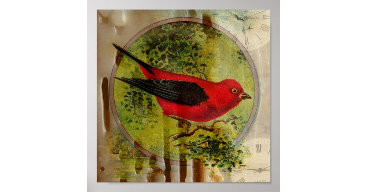Vintage Red Bird Poster | Zazzle