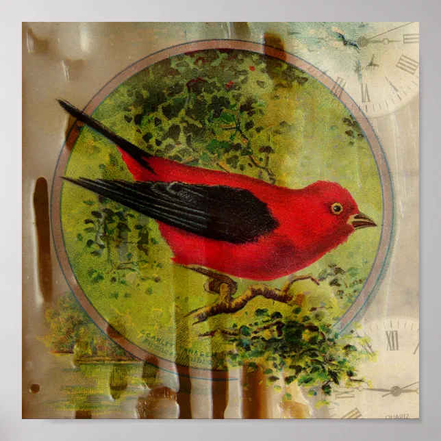 Vintage Red Bird Poster | Zazzle