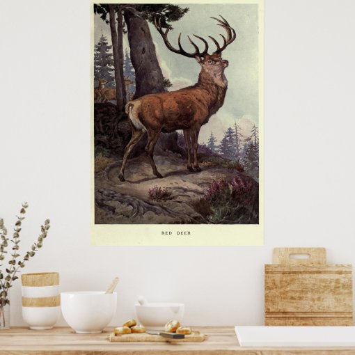 Vintage Red Deer Painting (1909) Poster | Zazzle
