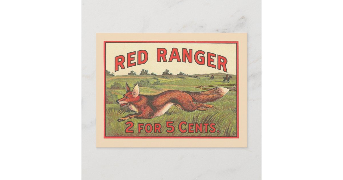 Vintage Red Fox Postcard | Zazzle