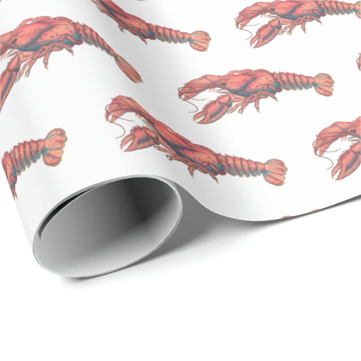 Vintage Red Lobster #2 Drawing Wrapping Paper | Zazzle
