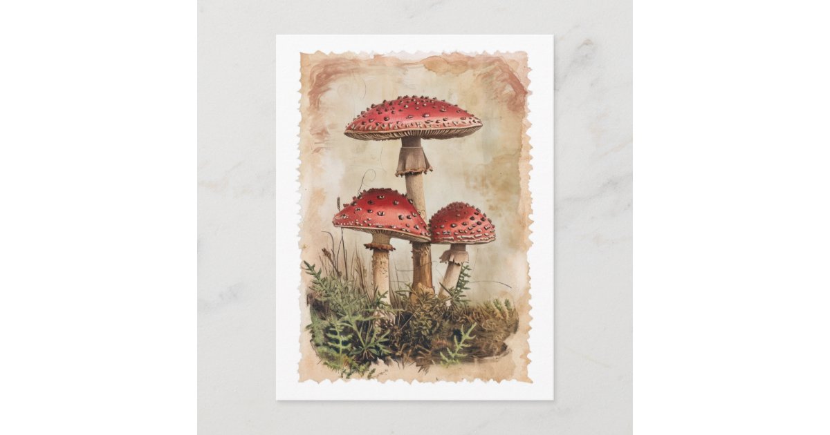 Vintage Red Mushroom Postcard | Zazzle