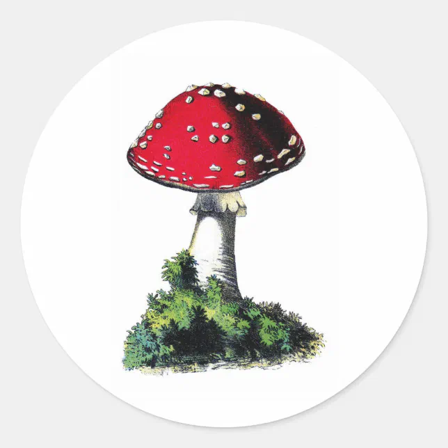 Vintage Red Mushroom Print Classic Round Sticker | Zazzle