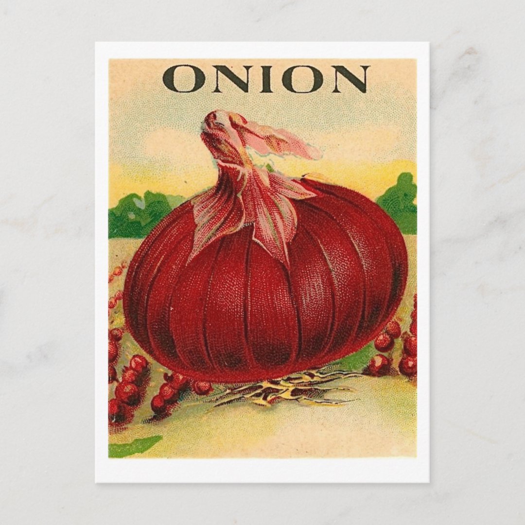 vintage red onion seed packet postcard | Zazzle