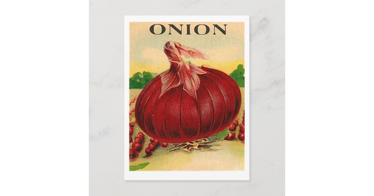 vintage red onion seed packet postcard | Zazzle
