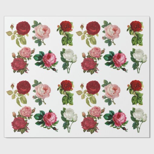 Vintage Red Pink and White Rose Wrapping Paper | Zazzle
